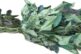 Fresh Ugu / Pumpkin Leaves- 5 Bunches (Local Market) – 247Foods Grocery ...